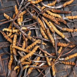 The Benefits of Yarsagumba - A Comprehensive Guide