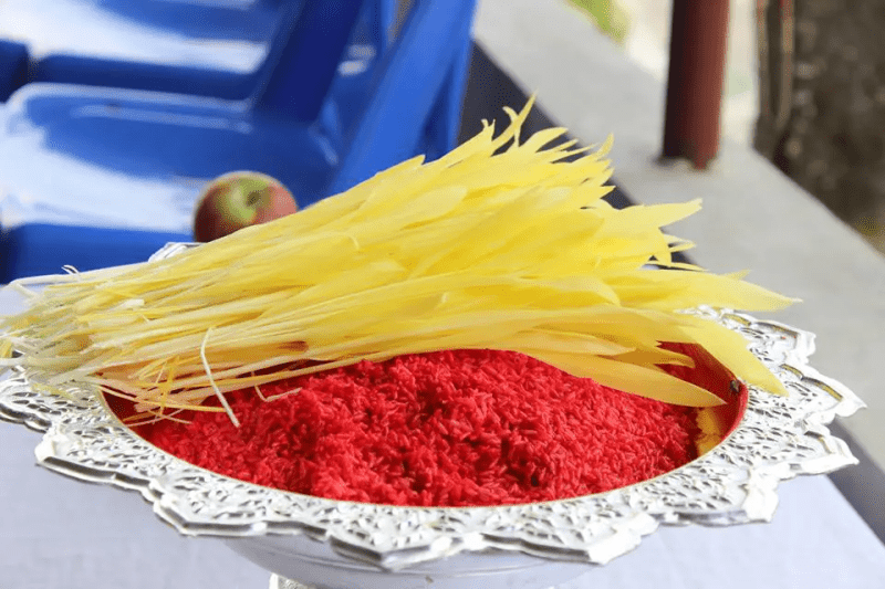 How to Grow Jamara Yellow and Flourishing for Dashain