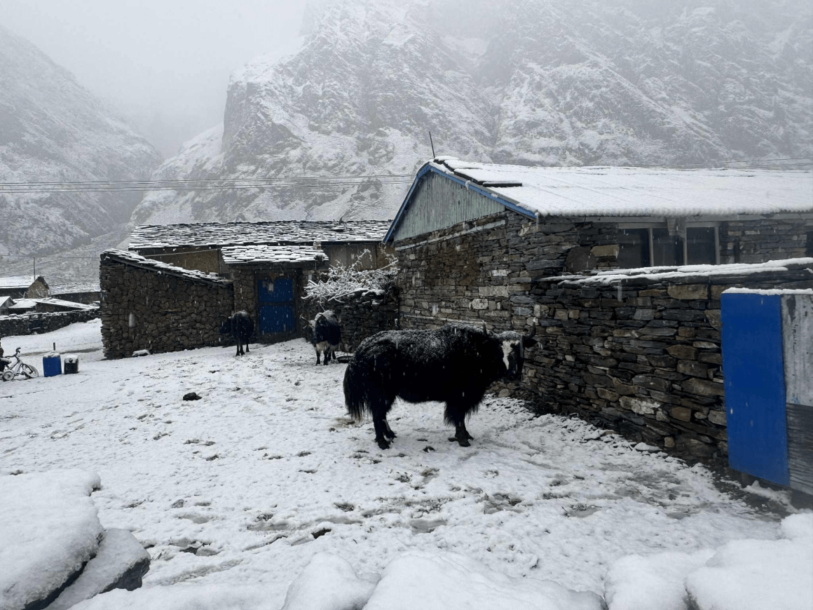 Early Snowfall in Nepal 2025: Everest, Annapurna, Mustang & Muktinath ...